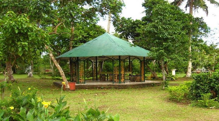 Visit Naga's Garden of Eden: Naga City Ecology Park! - Naga Rent a Car